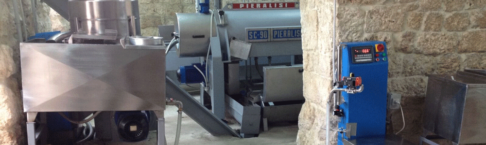 Our story – Olive Harvest