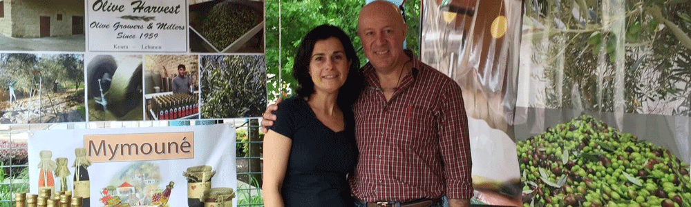 Our story – Olive Harvest